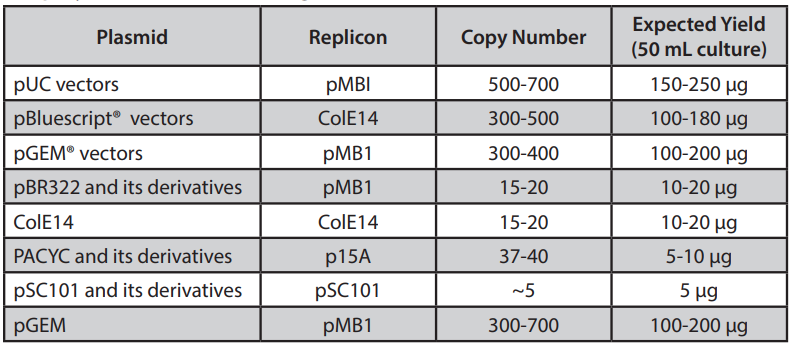 Plasmid Purification and Extraction Kits