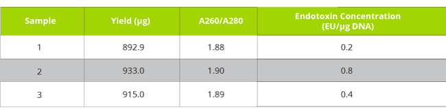 Plasmid Purification and Extraction Kits