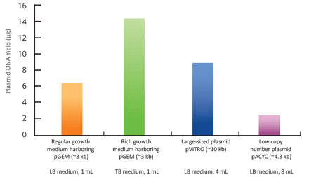 Plasmid Purification and Extraction Kits